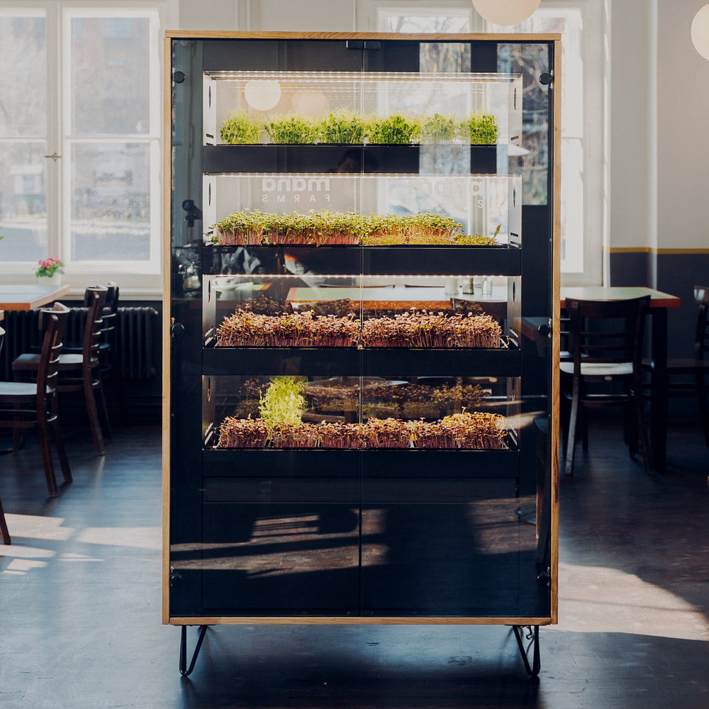 Mana Farm – Mana Farms